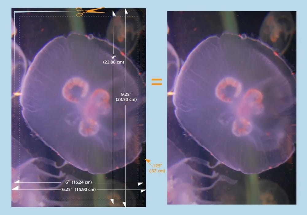 What Is Full Bleed Printing?
