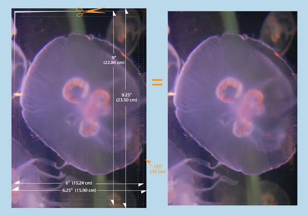 What Is Full Bleed Printing?
